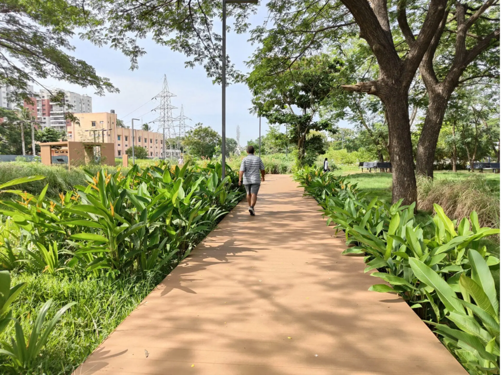 Chennai’s First Sponge Park: Urban Flood Resilience Blueprint